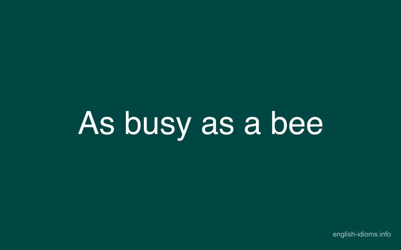 As busy as a bee