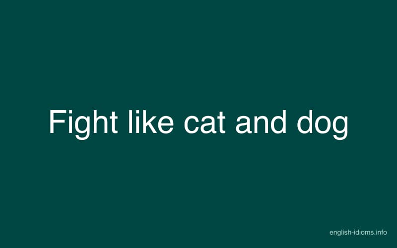 Fight like cat and dog