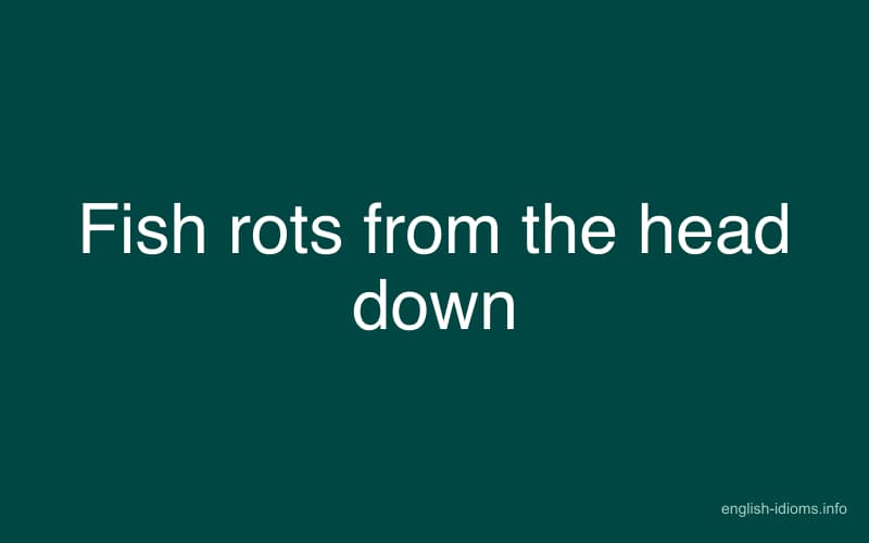 Fish rots from the head down