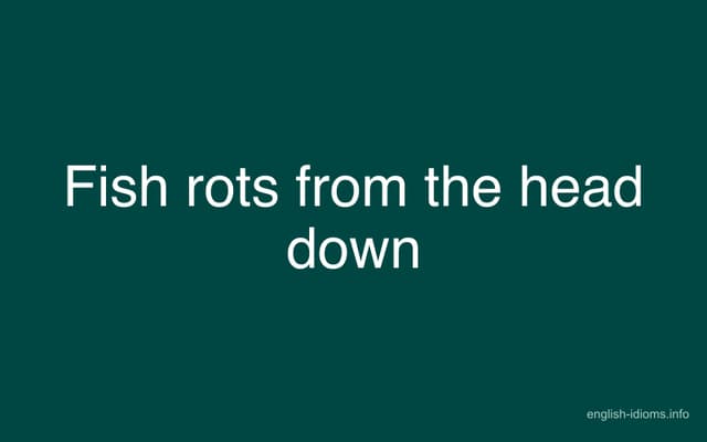 Fish rots from the head down
