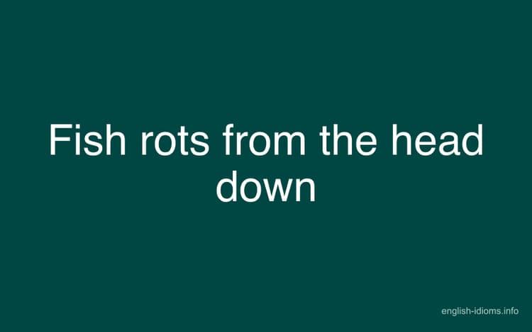 Fish rots from the head down