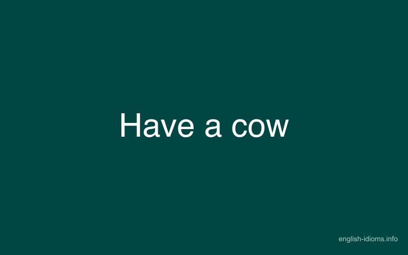 Have a cow