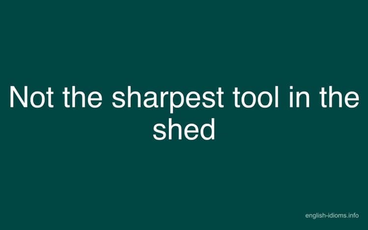 Not the sharpest tool in the shed