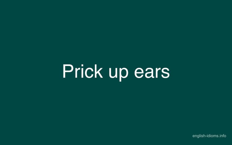 Prick up ears
