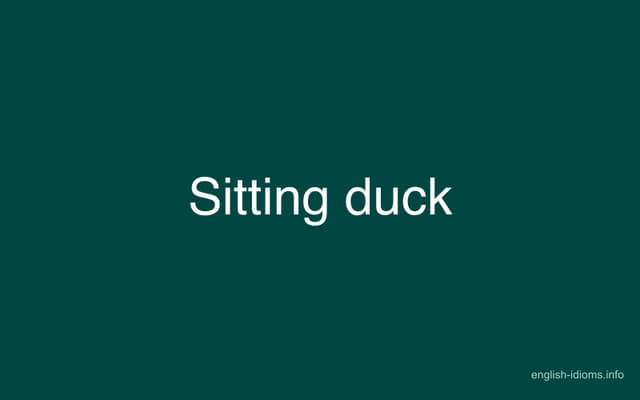 Sitting duck