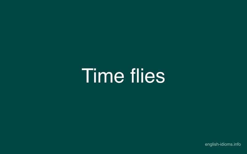 Time flies