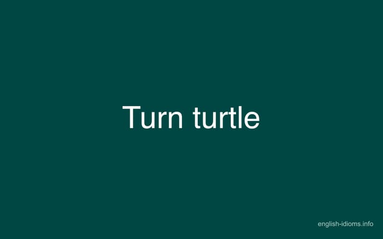 Turn turtle