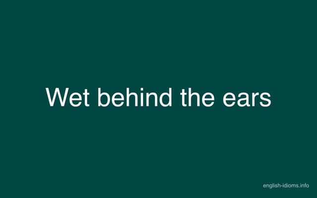Wet behind the ears